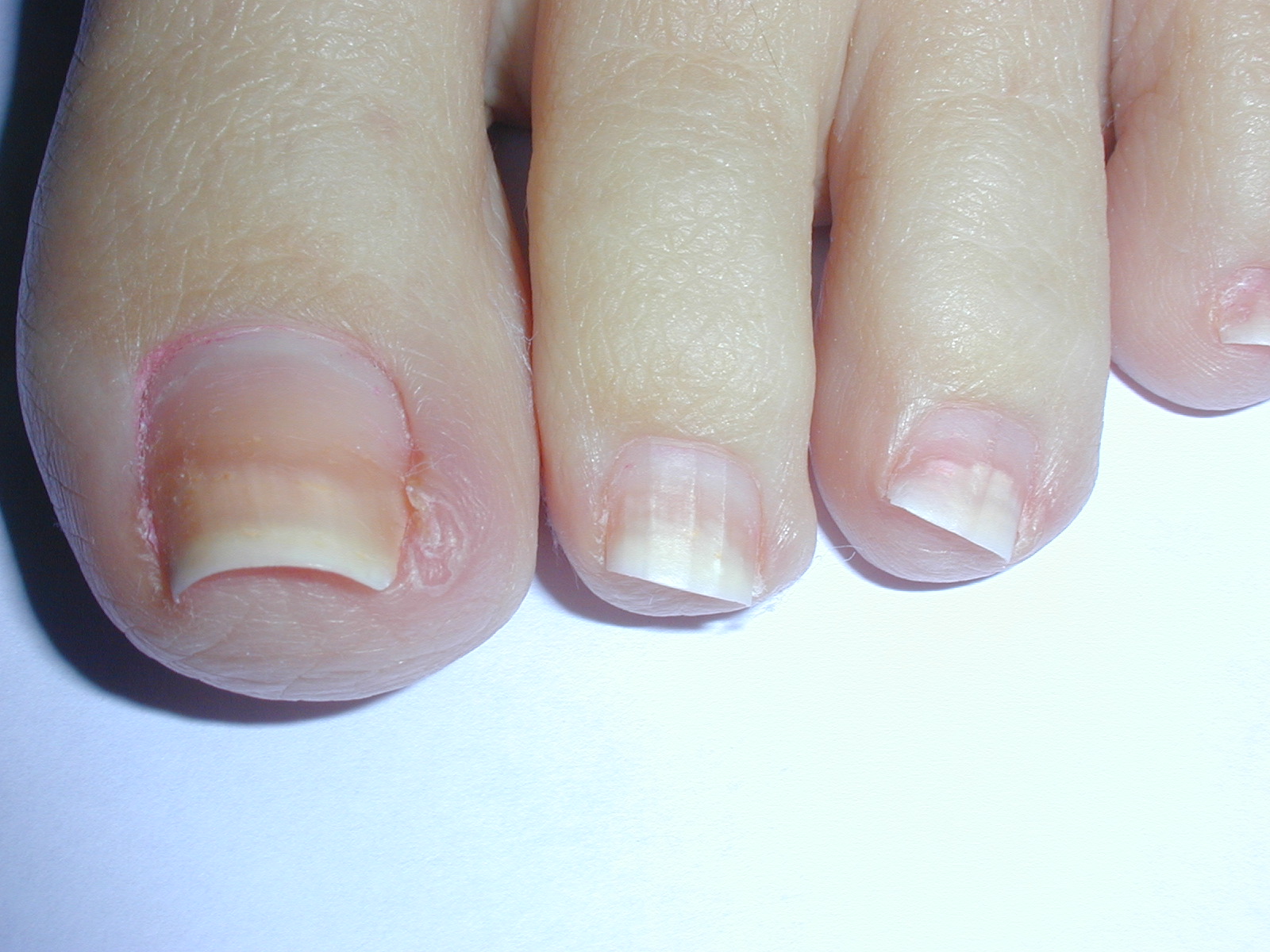 Podiatry Management Online